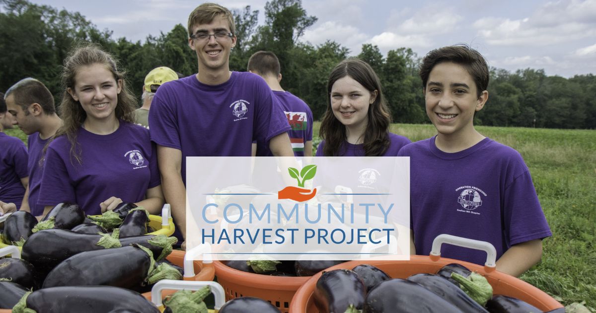 Volunteer | Community Harvest Project