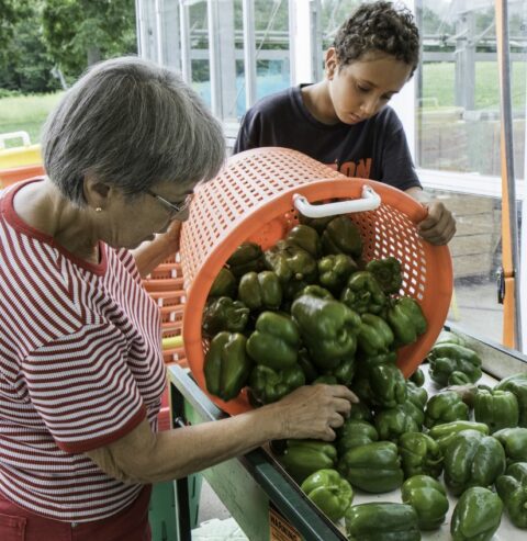 Volunteer Farming for Hunger Relief | Community Harvest Project
